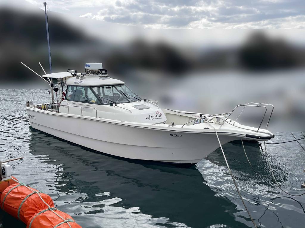 ヤマハ UF30(GP5) | 中古船ソーマッチ